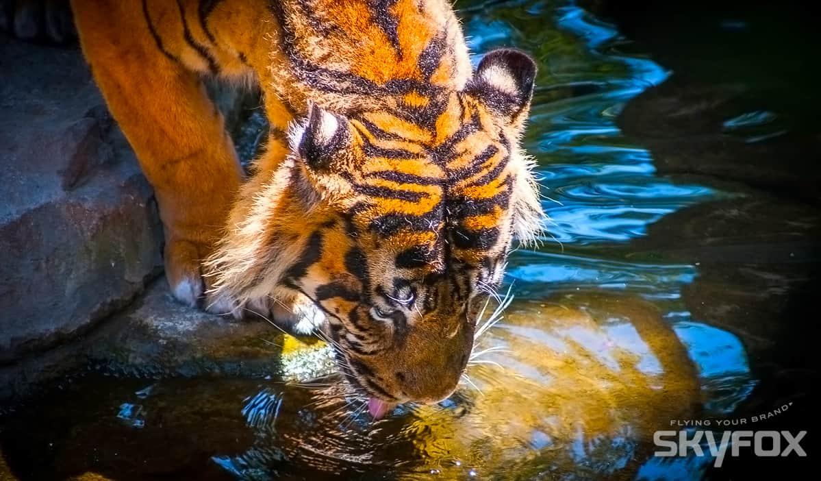 Asiakaskertomus Marko Kallio - Zervant